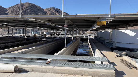 An Eclectic Mind - Snowbirding 2022: More Camping in the Lake Mead ...